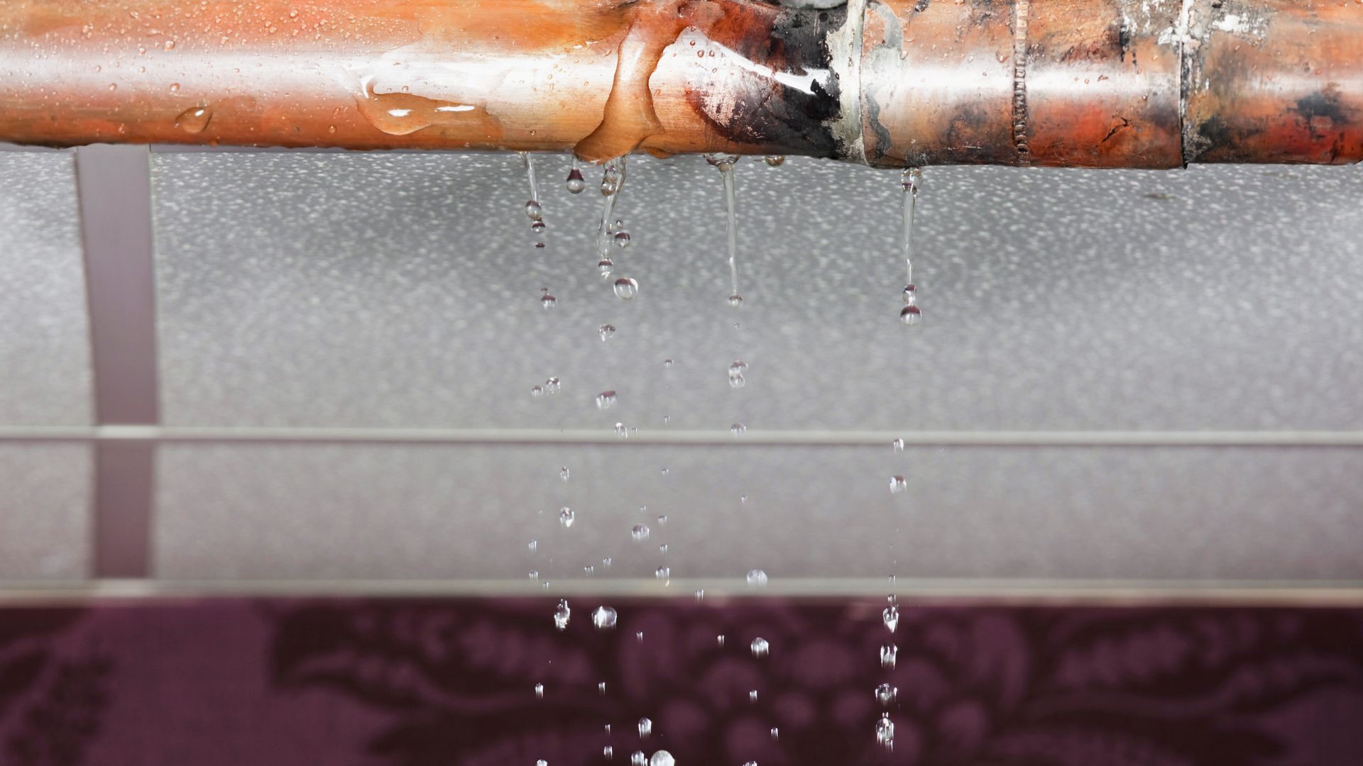 Leak Detection – Jenkins Plumbing and Gas